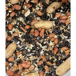 Squirrel Feeders & Squirrel Food | Buy Online