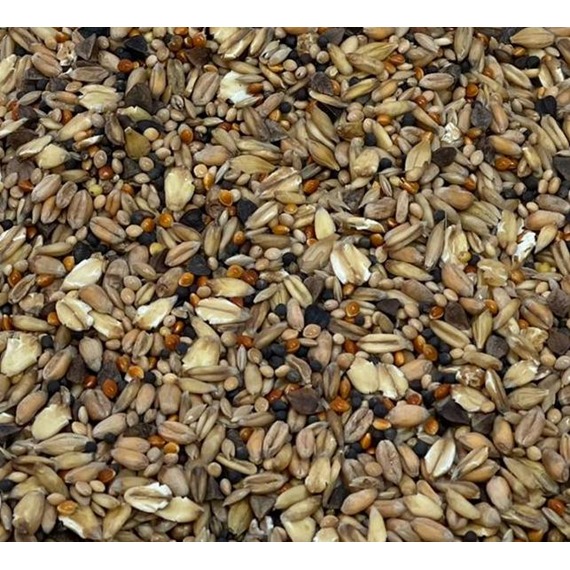 Eco-Friendly Bird Food | Really Wild Bird Food