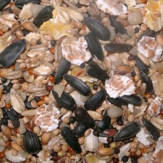 Table Mix | Really Wild Bird Food