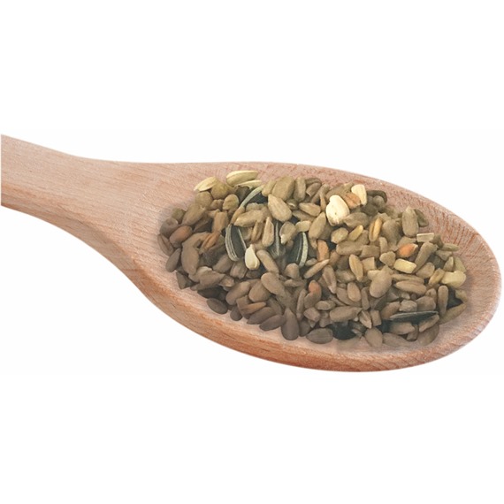 Big Seed Gold™ | Really Wild Bird Food
