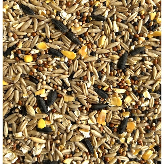 Birdie Basics™ Gold Bird Seed Mix